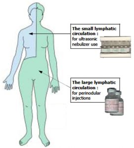 ネサン氏の714X | イーハトーヴクリニック